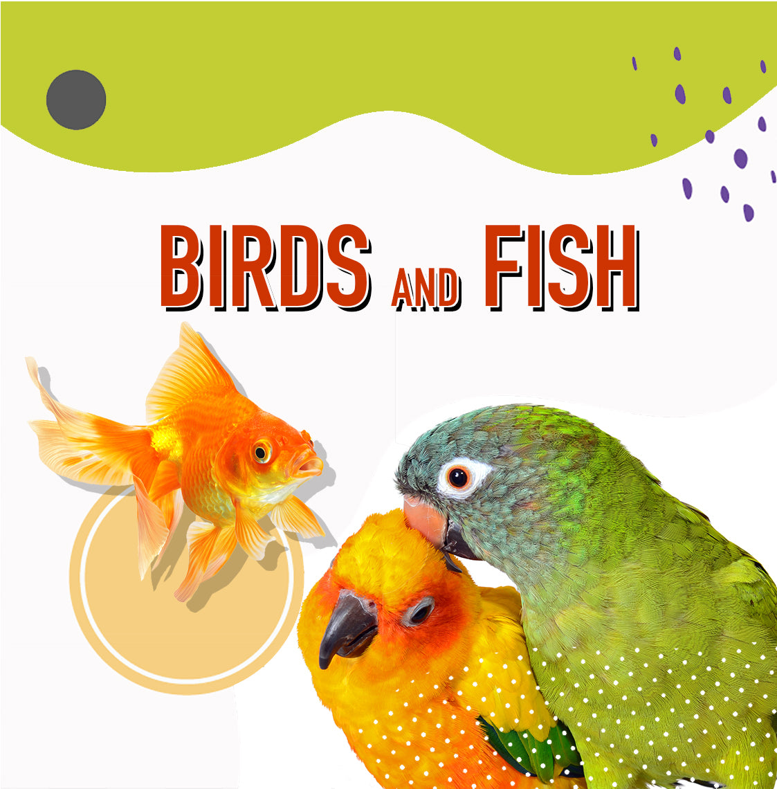 Birds & Fish
